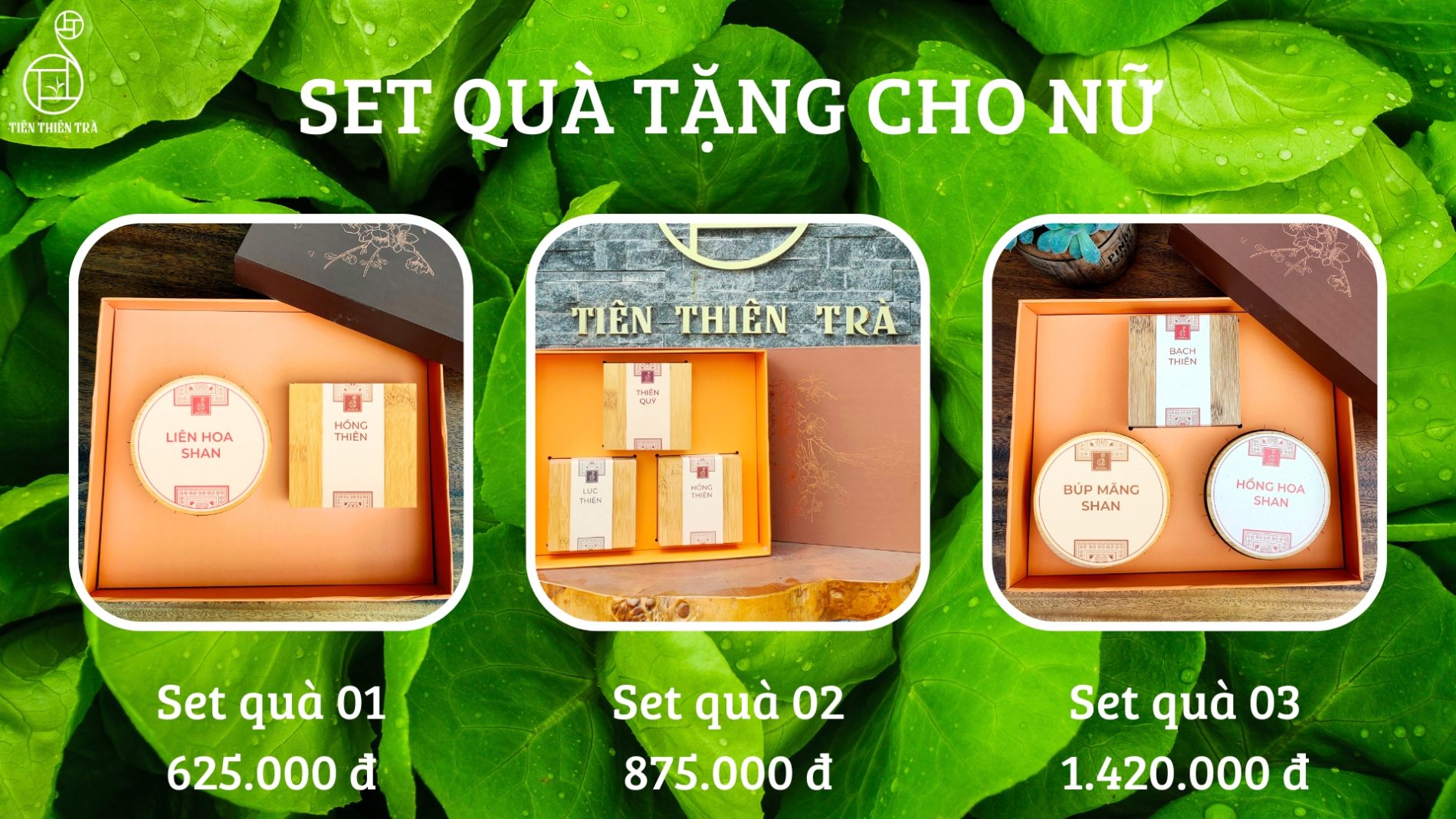 Trà Shan tuyết – Món quà tặng tuyệt vời cho khách hàng & đối tác